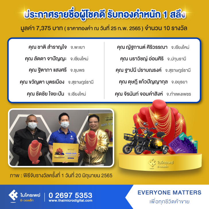 ไทยไมโคร ดิจิทัล โซลูชั่น